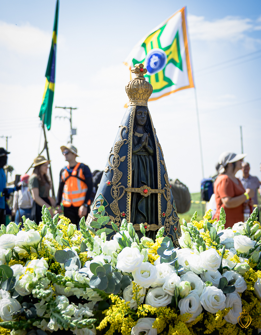 Vídeo e Fotos - Peregrinação da FSSPX à Aparecida - Maio 2026 | Casa ...
